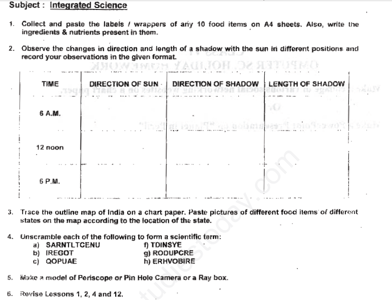CBSE Class 6 Science Revision Assignment Set B